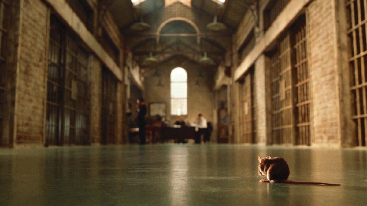 La Ligne verte : plongée dans la véritable prison du film de Frank ...